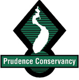 Your Company